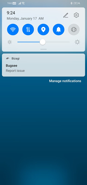 Bizagi - Platform User Guide